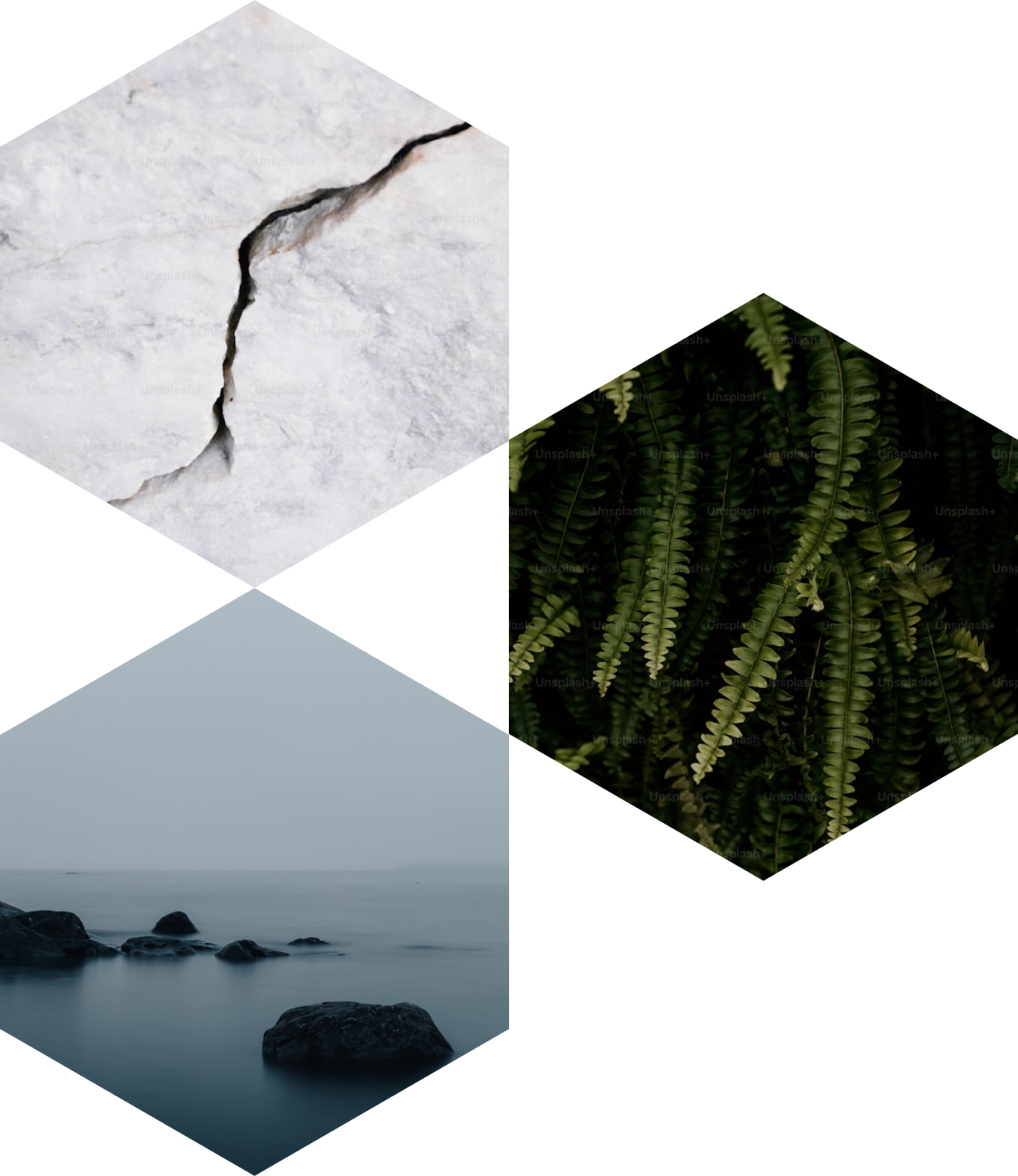 Home page - Eesti Keskkonnauuringute Keskus